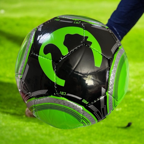 Puma | Games | Puma Black And Green Soccer Ball Propass 2 Mini | Poshmark